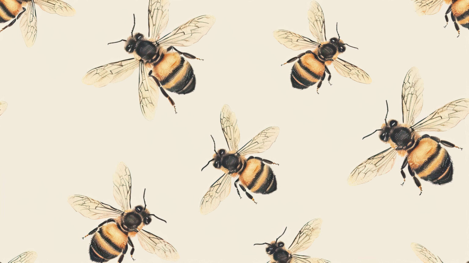 Aesthetic Bee Wallpaper, Free, 4k