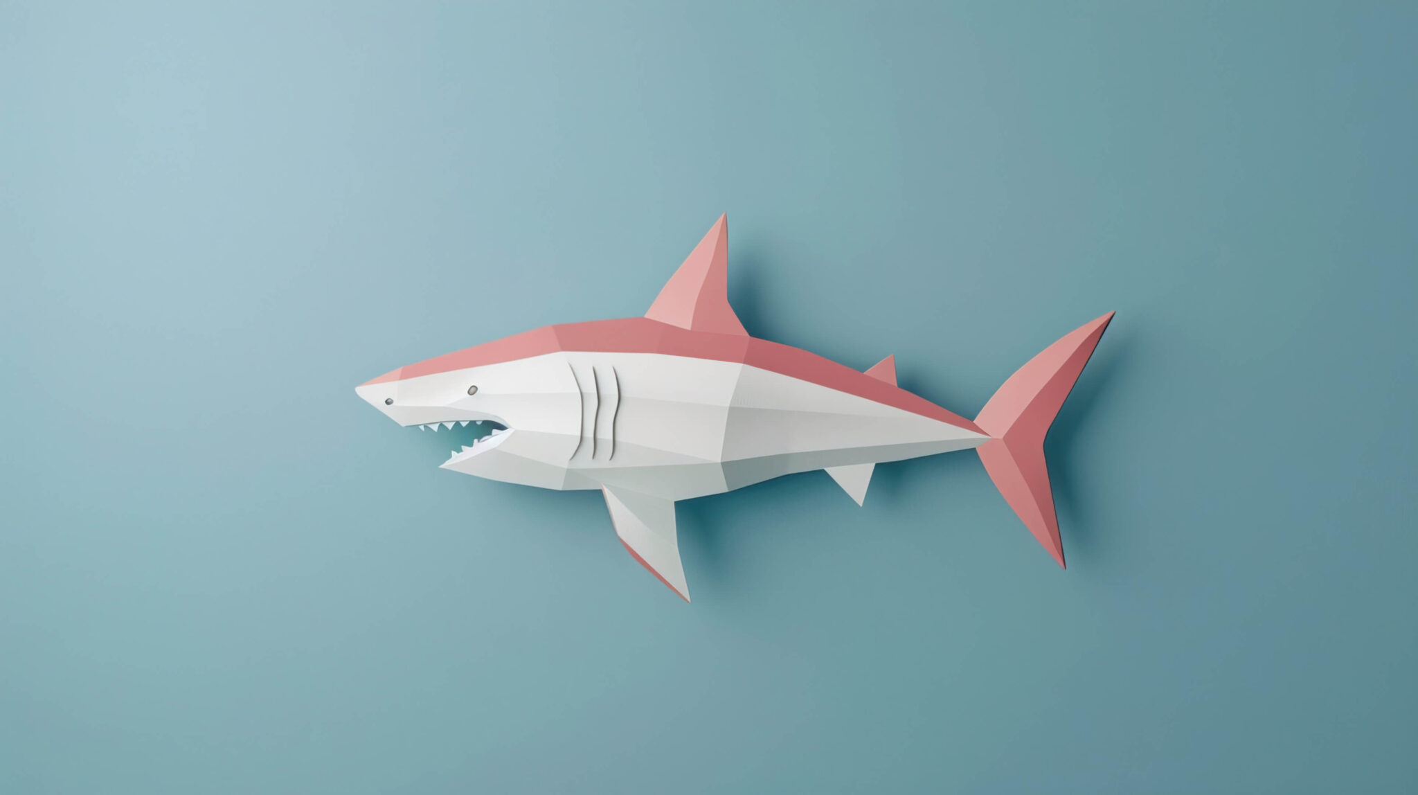 Cute Shark Wallpaper, Free, 4k