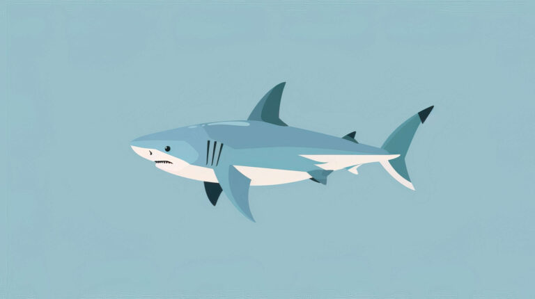 Cute Shark Wallpaper, Free, 4k