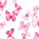 Pink Butterfly Wallpaper, Free, 4k