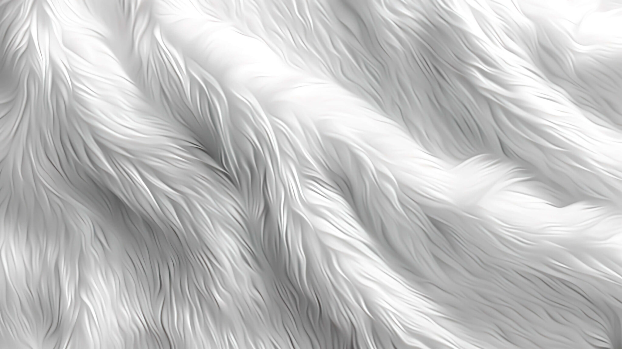 Fur Wallpaper, Free, 4k