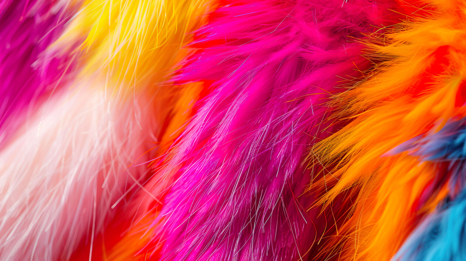 Fur Wallpaper, Free, 4k