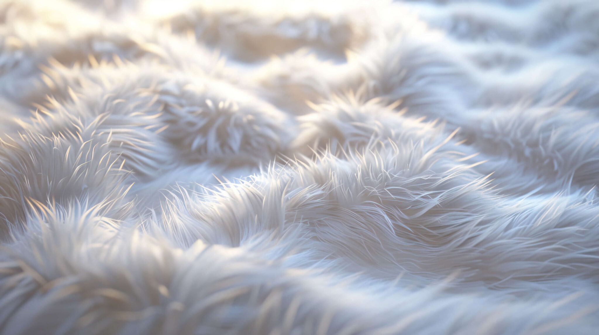 Fur Wallpaper, Free, 4k