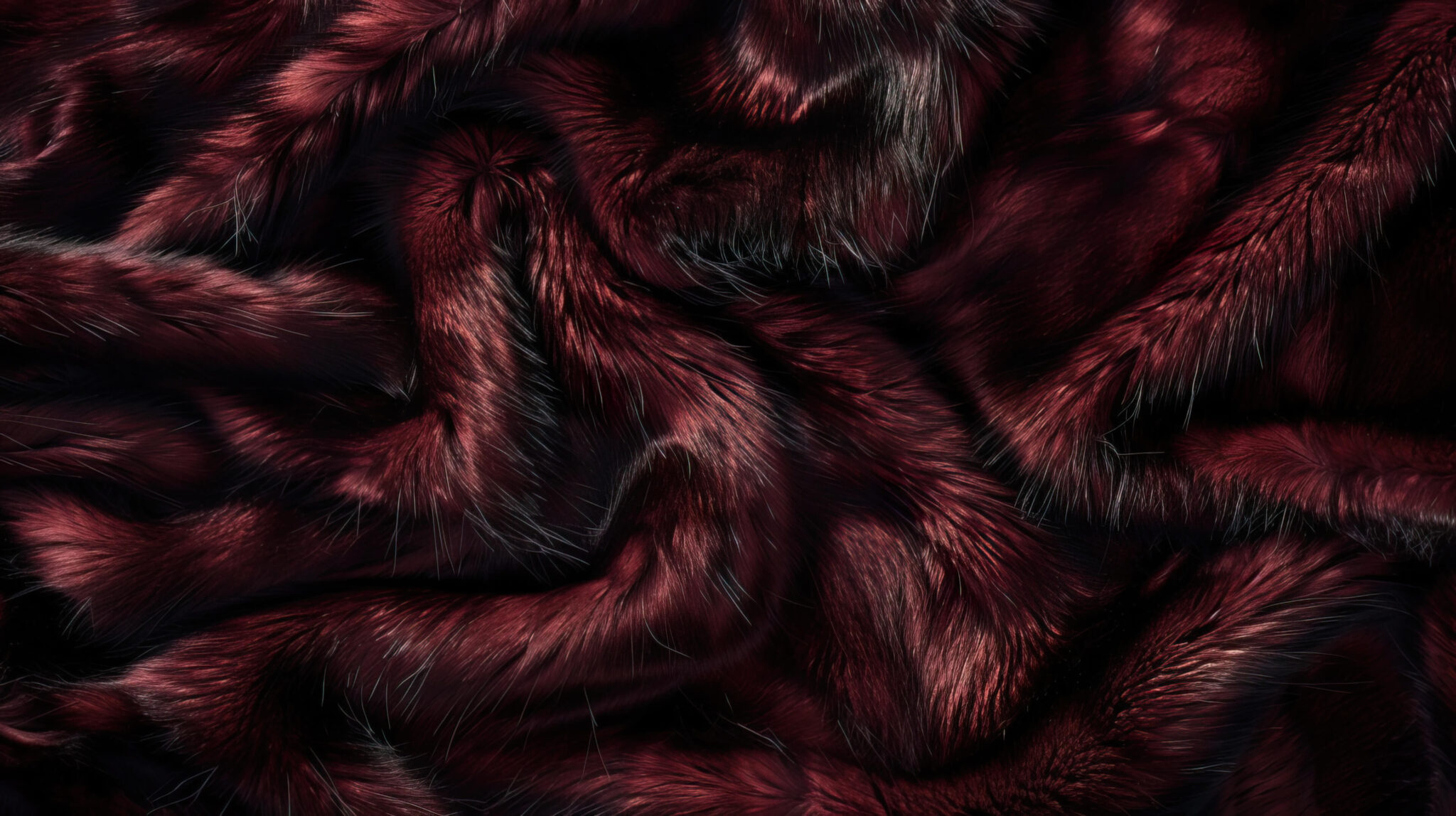 Fur Wallpaper, Free, 4k