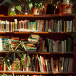 Bookshelf Wallpaper, Free, 4k